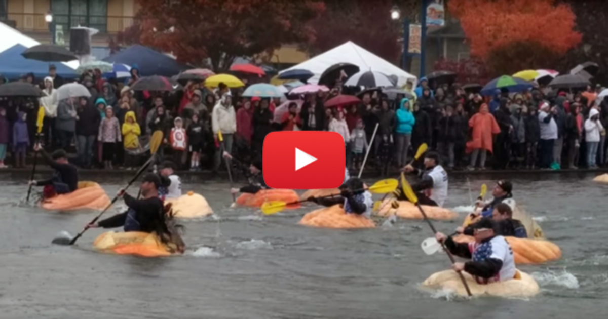 Paddling Giant Pumpkins | Paddling.com