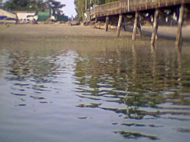 Silverdale Waterfront Park | Paddling.com