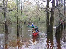 Ohoopee River in Georgia - Weekend Trip Report | Paddling.com